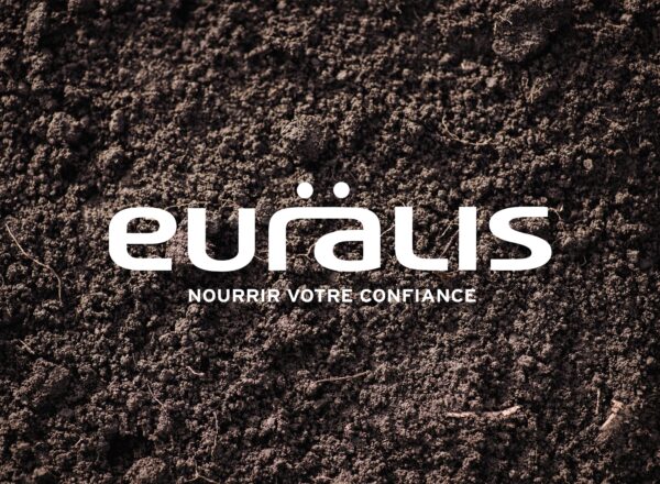 Strategie de Marque Plateforme Territoire Design Euralis - d'Artagnan