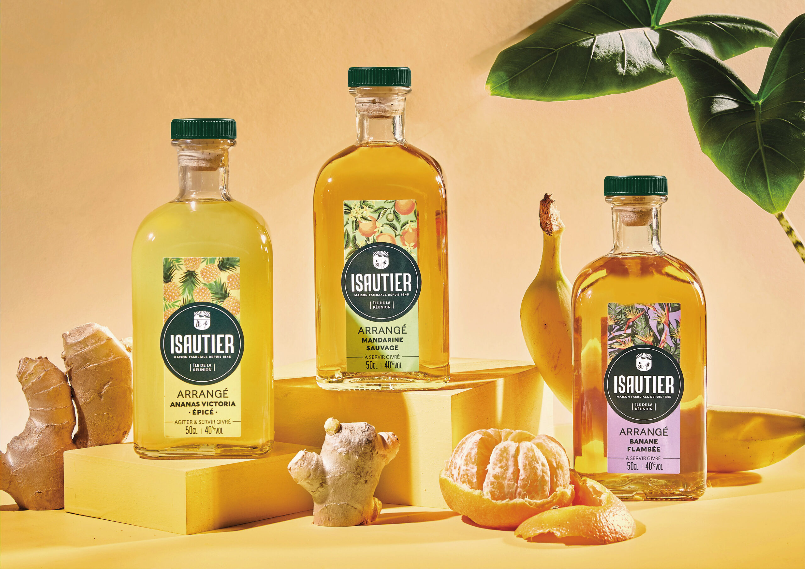 Identité Visuelle Design Volume Packaging Isautier - d'Artagnan